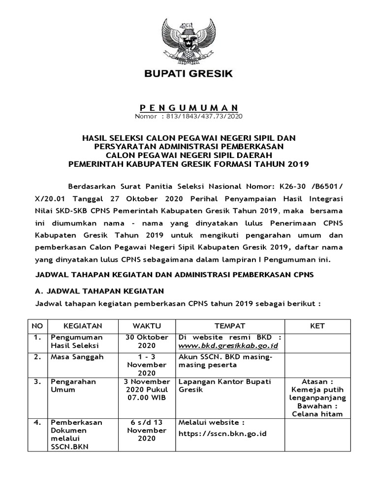 Pengumuman Kelulusan CPNS Formasi 2019 | PDF