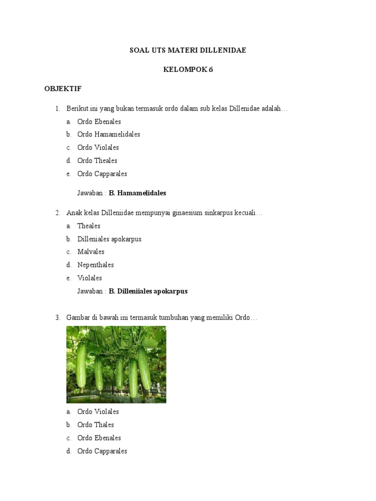 Soal UTS Subkelas Dillenidae | PDF
