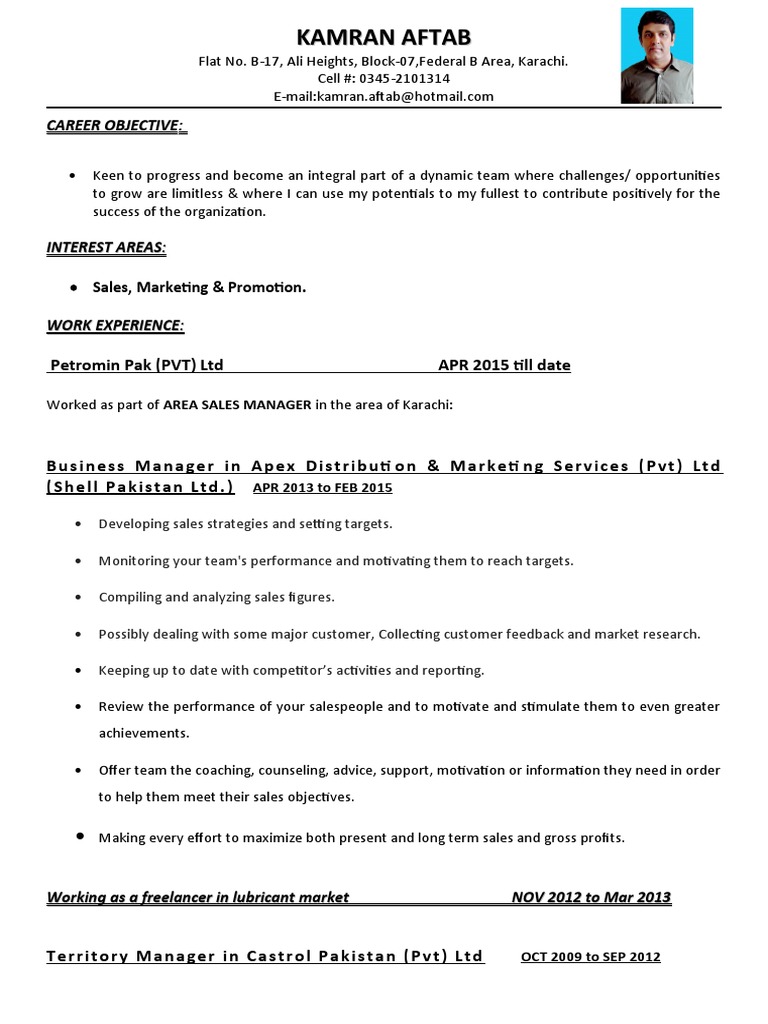 Kamran CV | PDF | Sales | Market (Economics)