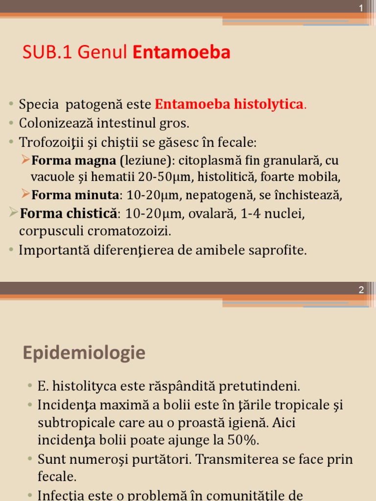 Curs 1 Amibiaza | PDF