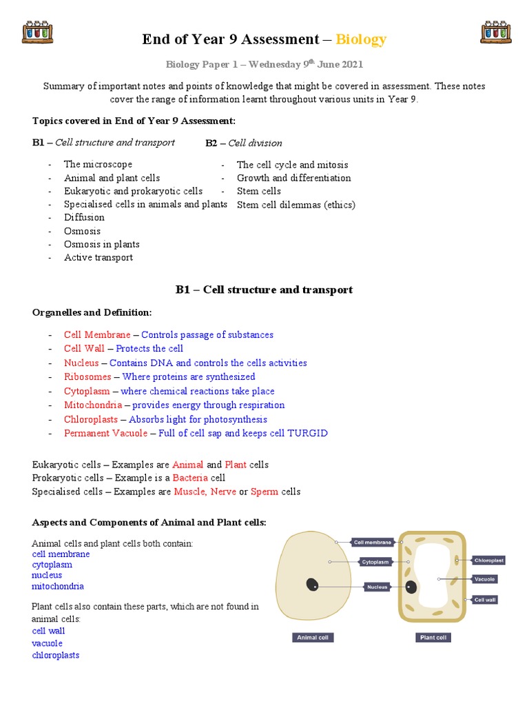 Year 9 Biology Assessment Guide | PDF | Cell (Biology) | Embryonic Stem ...