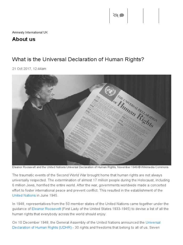 What Is The Universal Declaration of Human Rights | PDF | Human Rights ...