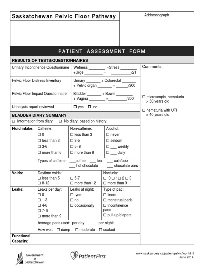 Physical Therapy Patient Pelvic Floor Assessment Form | PDF | Urinary ...