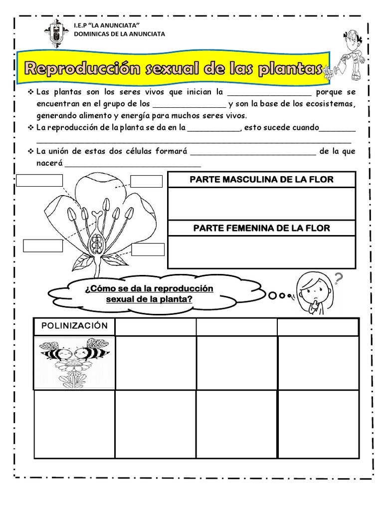 Ficha - Reproducción Sexual de Las Plantas | PDF | Plantas | Fotosíntesis