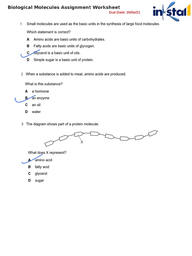 Biological Molecules Worksheet Answers | PDF | Carbohydrates | Starch