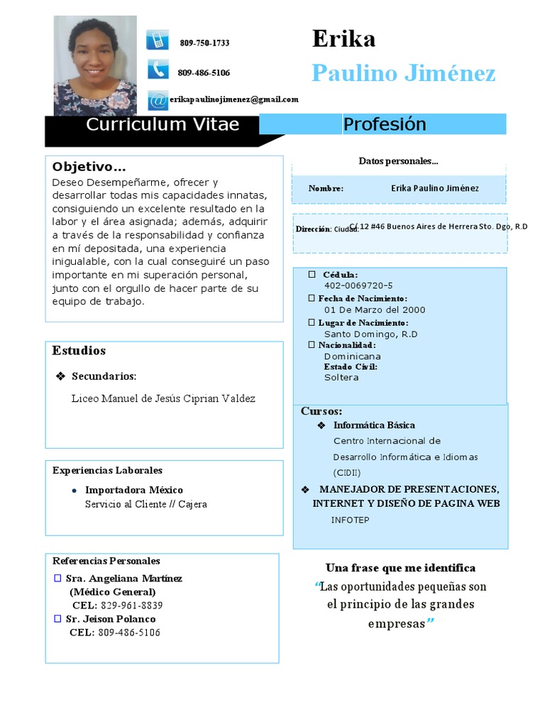 CV Erika 2 | Descargar gratis PDF | Informática | Informática y ...