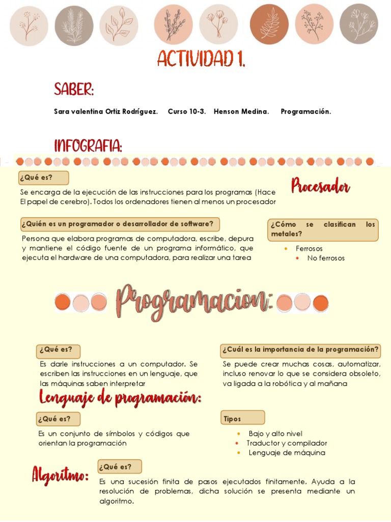 Infografía de La Programación | PDF