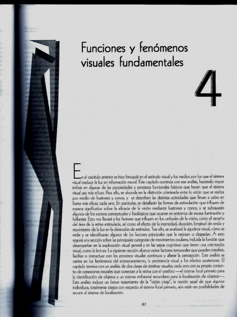 Capítulo 4 Schiffman Funciones Visuales | PDF