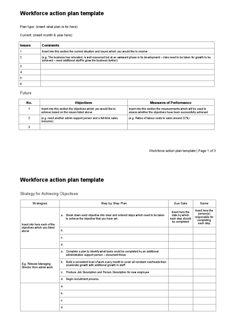 Workforce Action Plan Template PDF Recruitment Employment