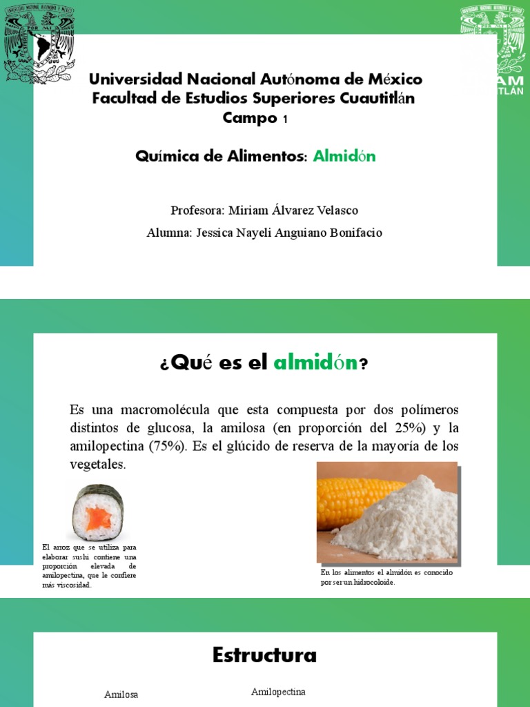 Almidón | PDF | Almidón | Ingredientes de comida