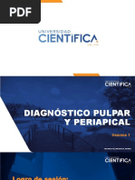 Clasificación Clínica de Patología Pulpar y Periapical Basada en La Propuesta de La | PDF ...