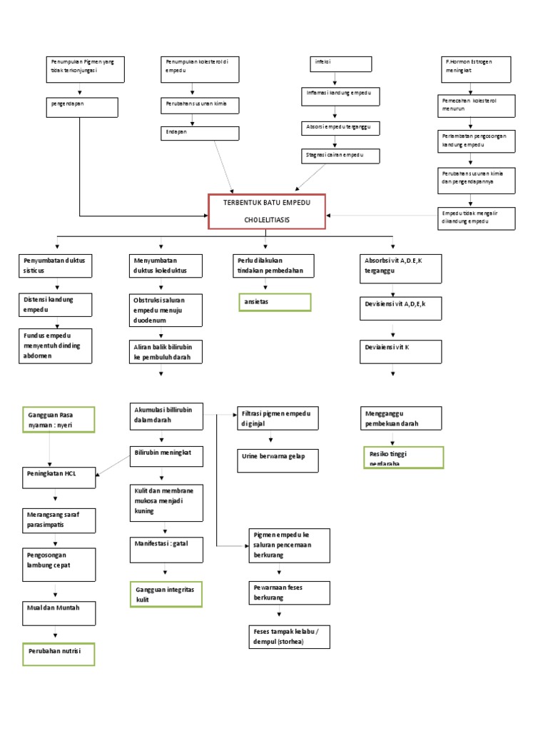 Pathway Colelitiasis | PDF