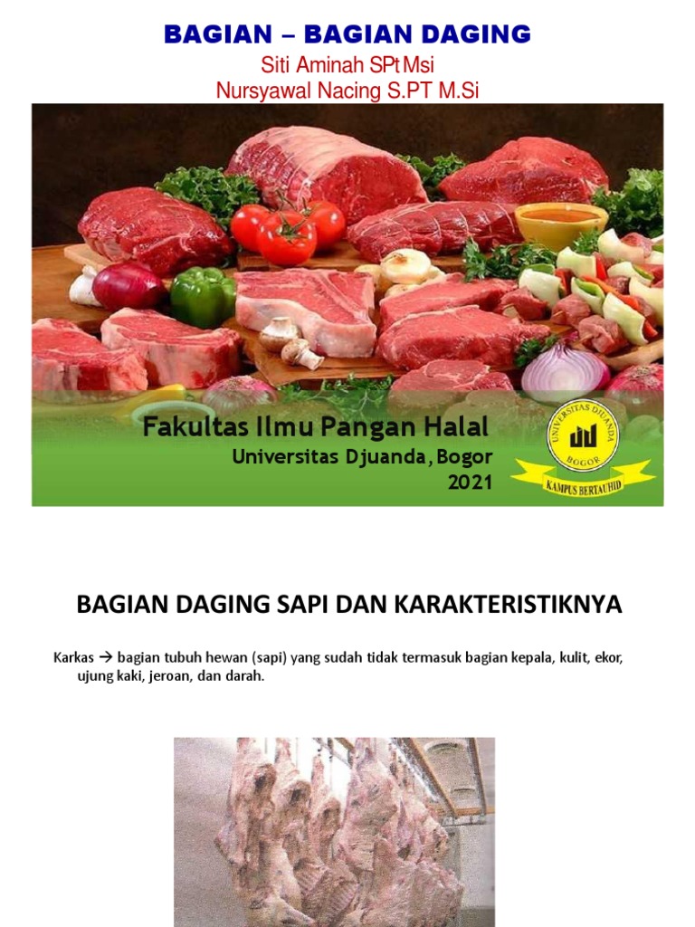 Bagian Daging Sapi dan Karakteristik | PDF