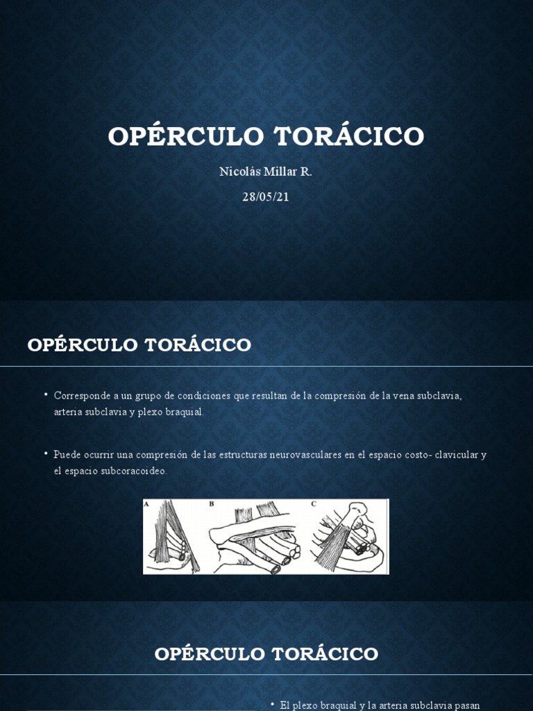 Operculo Toracico | PDF | Sistema musculoesquelético | Medicina CLINICA