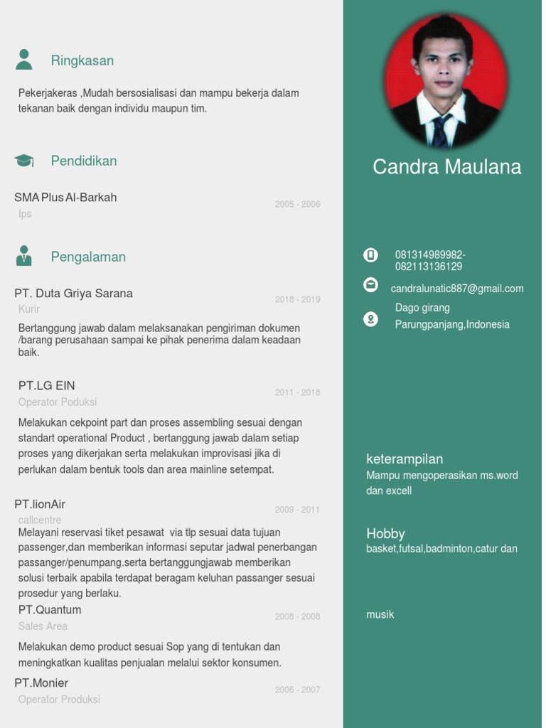 Contoh CV Modern Simple | PDF