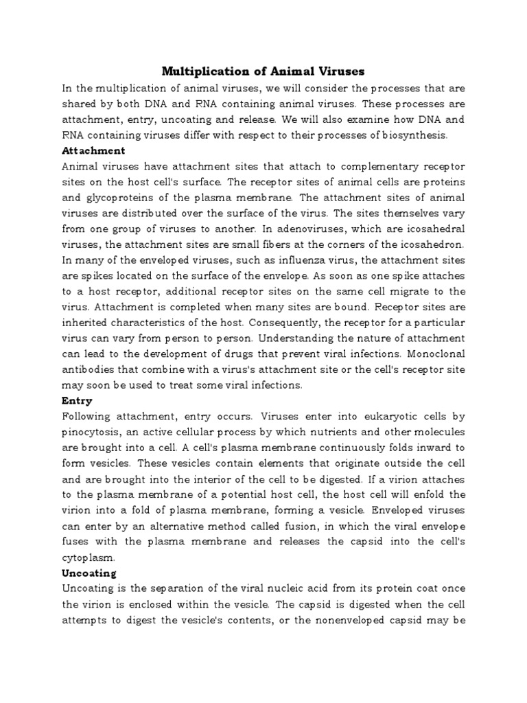 Multiplication of Viruses | PDF | Retrovirus | Virus