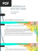 Pemeriksaan Urinee Metode Carik Celup-1 | PDF