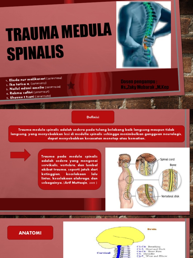 Trauma Medula Spinalis | PDF