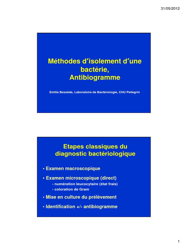 Isolement D'une Bactérie - Antibiogramme (DR Bessede) | PDF ...