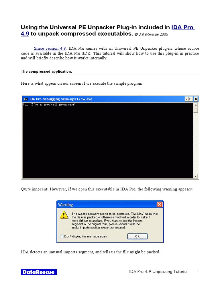 Unpacking Ida Pro | PDF | Computer Science | Information Technology Management