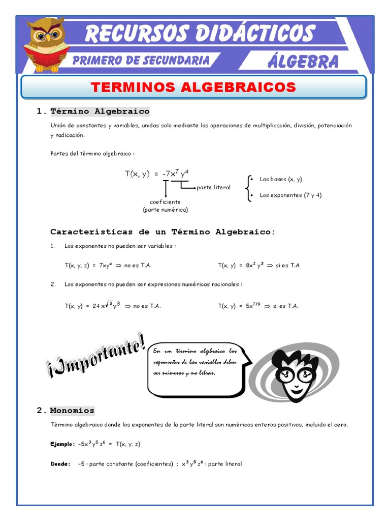 Término Algebraico para Primero de Secundaria | PDF | Ciencia computacional | Álgebra abstracta