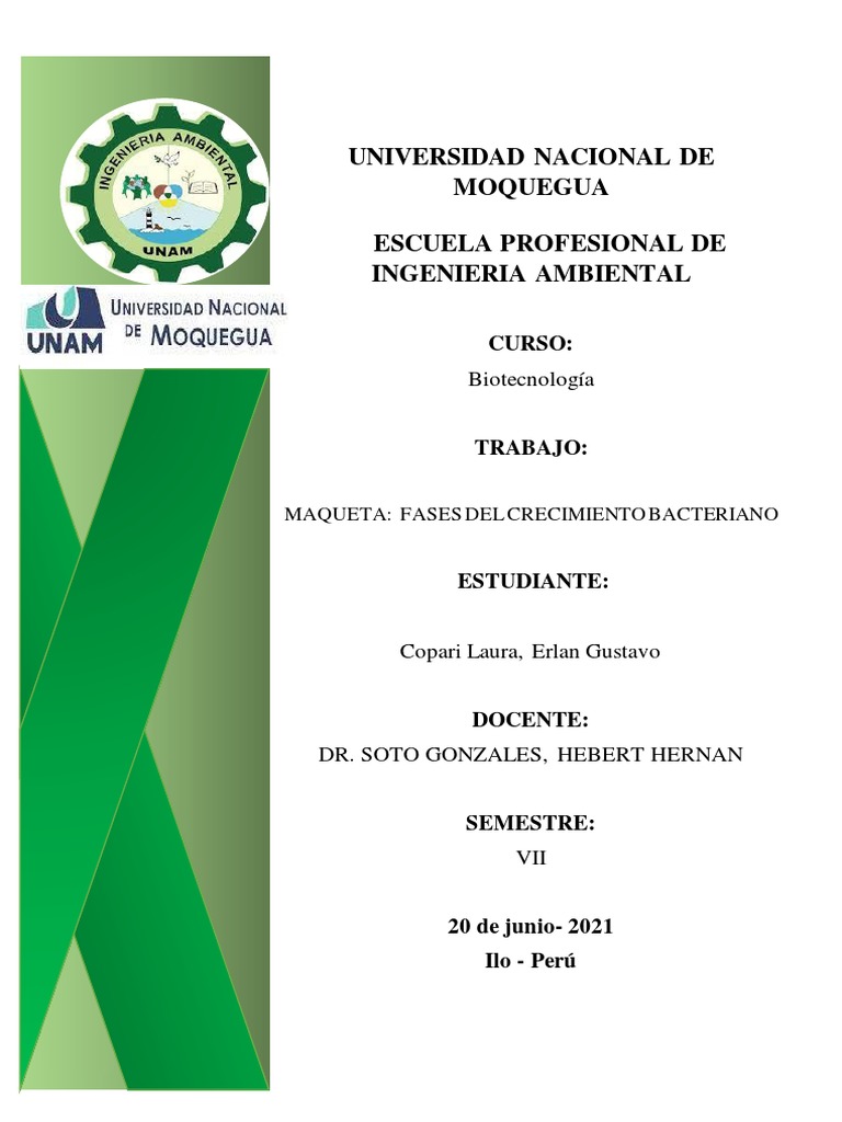 Fases del Crecimiento Bacteriano | PDF | Crecimiento celular | Las ...