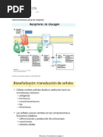 Receptores Con Actividad Enzimática | PDF | Receptor (Bioquímica ...
