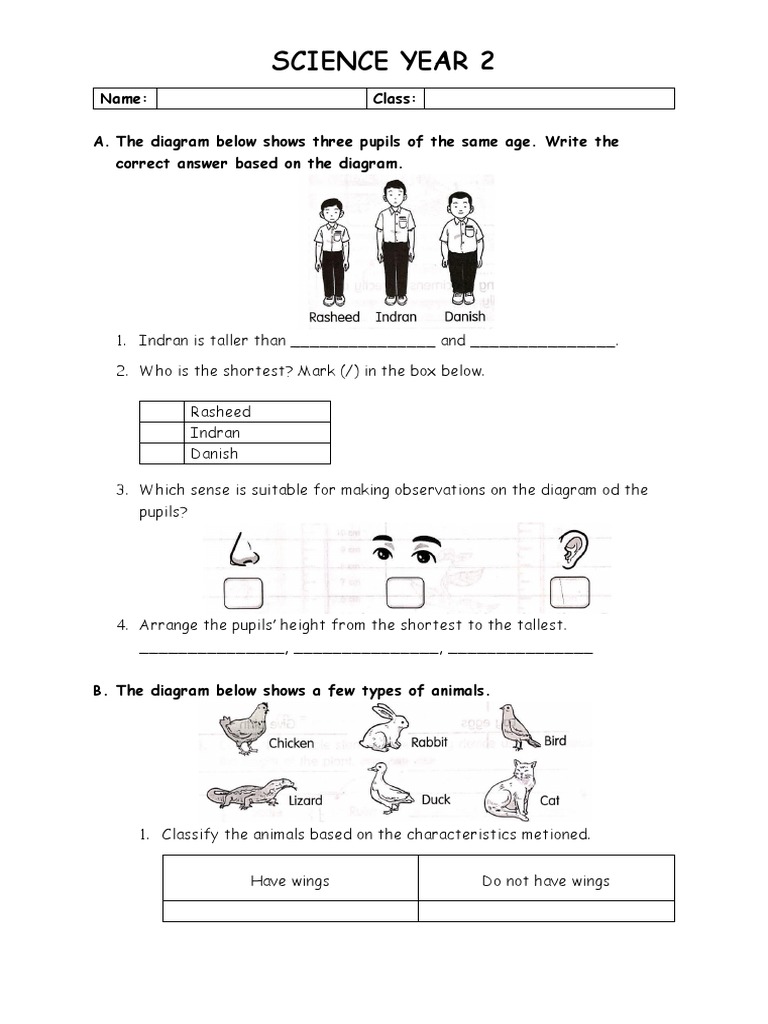 PBS Science Y2 | PDF | Nature | Nature