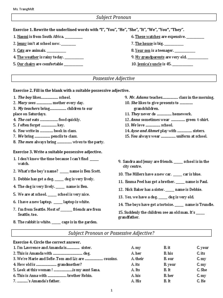 S Pronoun Vs Possessive Adj | PDF | Linguistic Typology | Grammar