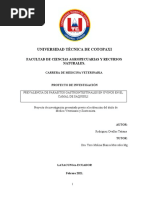 Visita Al Rastro | PDF | Carne | Matadero