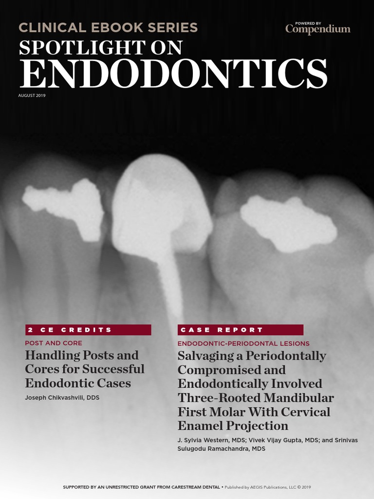 Spotlight On Endodontics | PDF | Dentistry Branches | Mouth