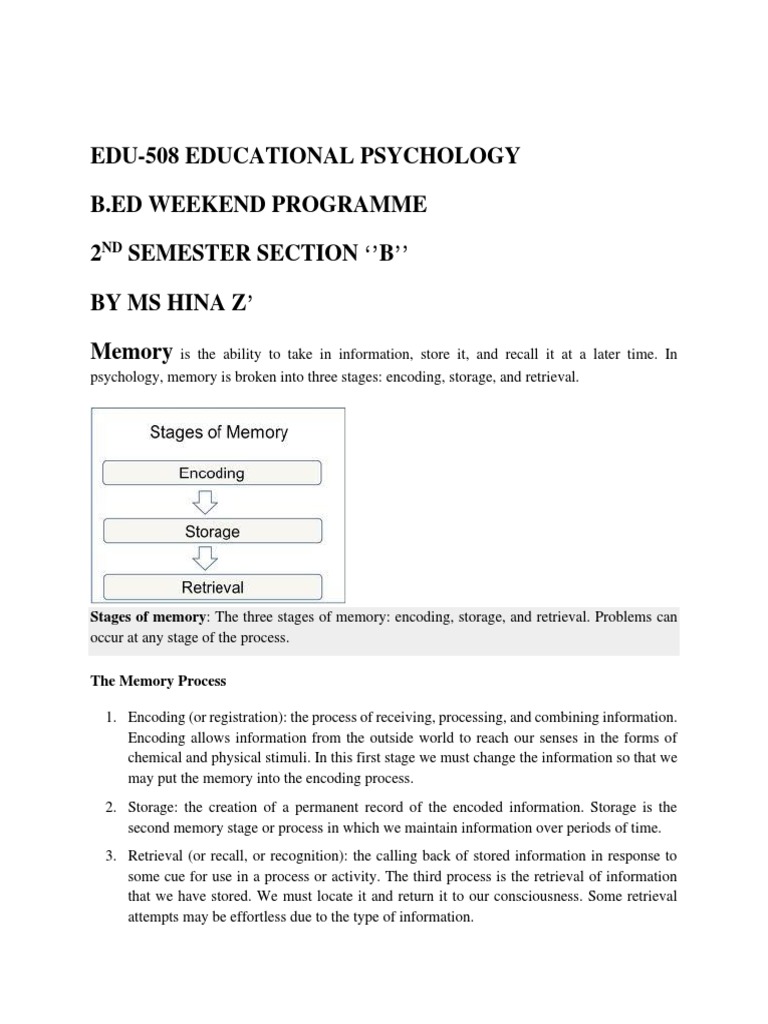 Memory And Forgetting Pdf Amnesia Memory
