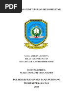 Sinuses Positioning Chart | PDF | Skull | Human Nose