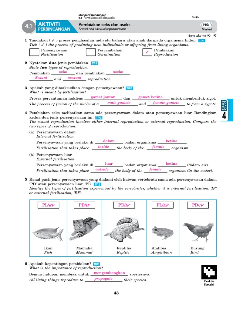 Answer Page 43-44 | PDF