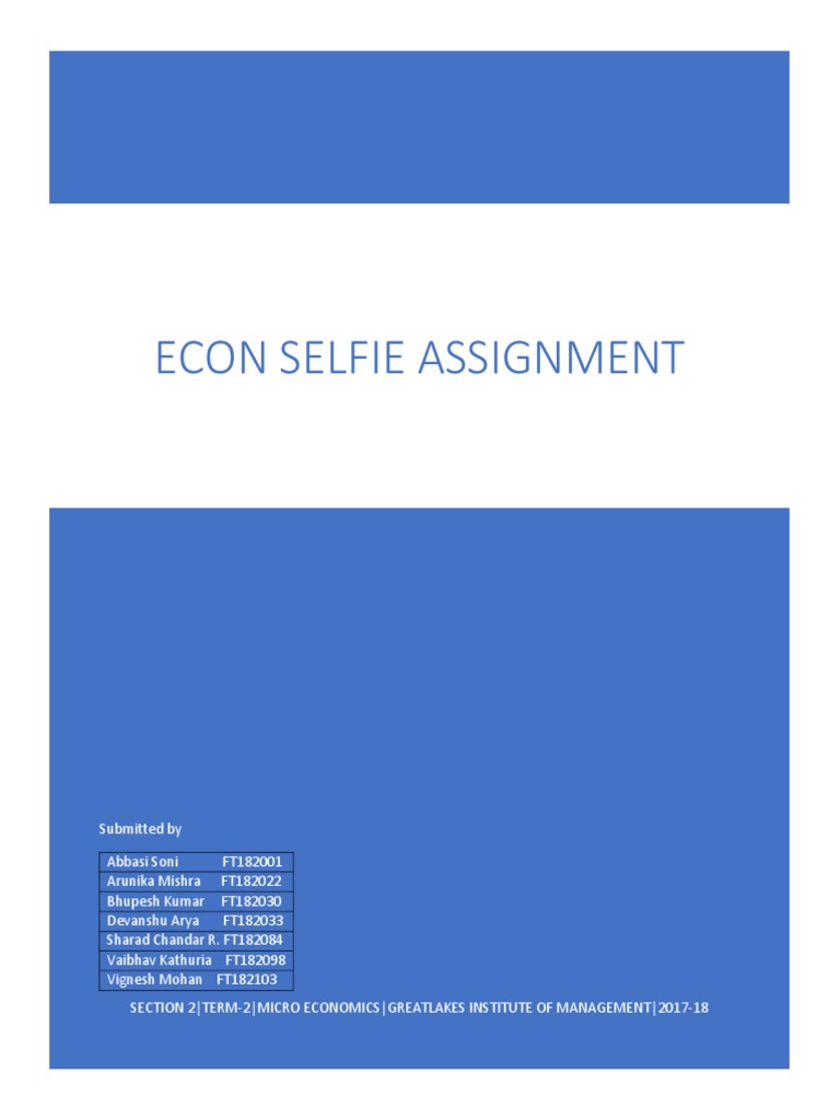 Econ Selfie Assignment | PDF | Demand | Economic Equilibrium