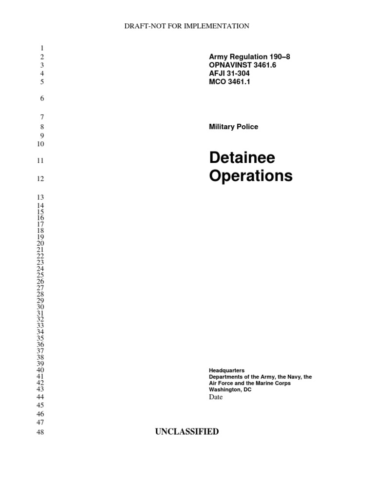 AR 190-8 Detainee Operations (Draft v2.0) | PDF | United States ...