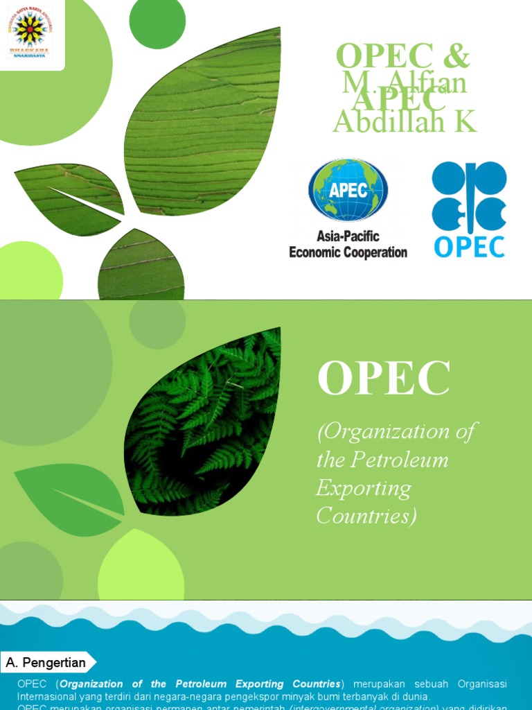 Sejarah dan Tujuan OPEC & APEC | PDF | Teknologi & Rekayasa