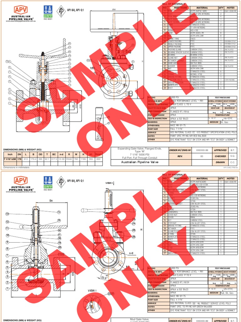 Sample Only: Api 6A, Api Q1 | PDF | Valve | Steel