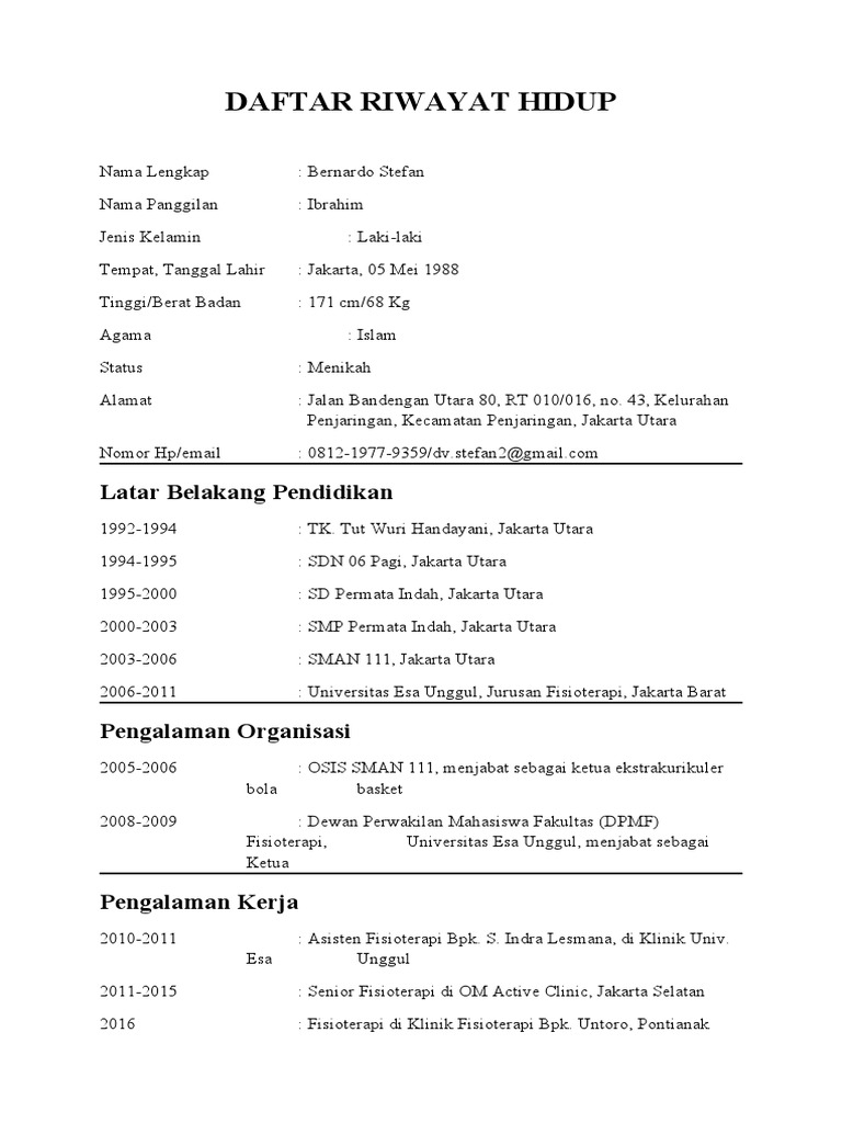 CV Fisioterapi | PDF