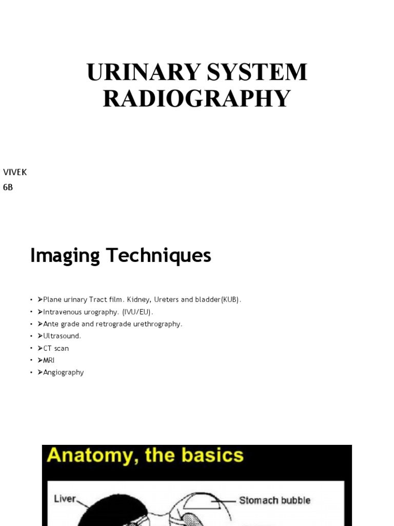 Urinary System Radiography | PDF | Urinary Bladder | Genitourinary System
