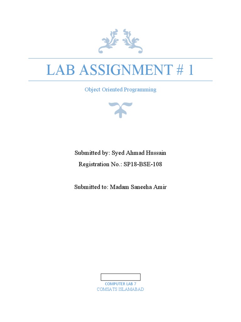 Lab Assignment 1 Pdf Area Parameter Computer Programming