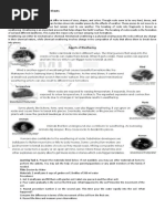 FINAL GRADE 5 UNPACKED LEARNING COMPETENCIES QUARTERS 1-4docx | PDF | Force | Tropical Cyclones