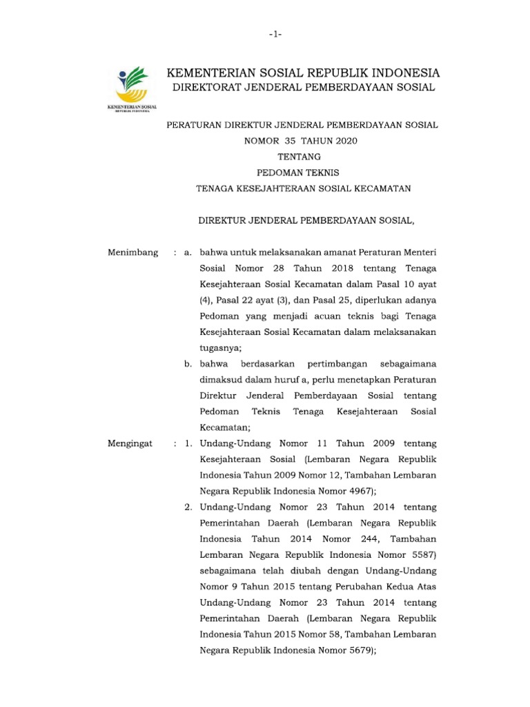 Perdirjen Pedoman TKSK | PDF
