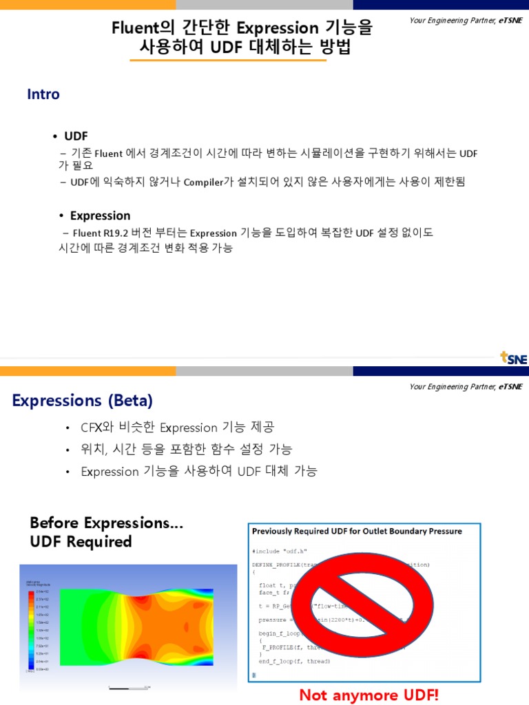 Fluent Expression eTSNE | PDF