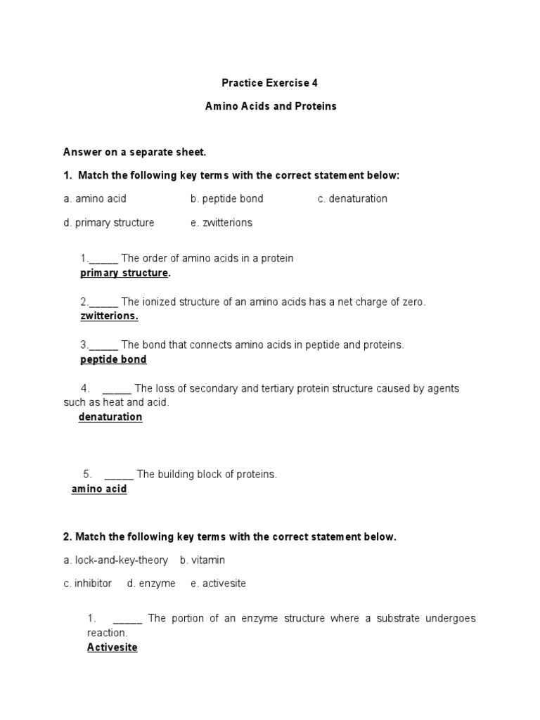 Protein Structure and Enzyme Function Quiz | PDF | Amino Acid | Enzyme