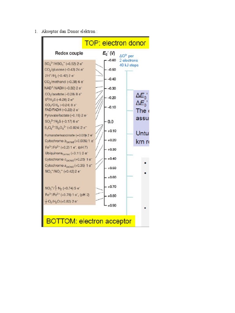 Akseptor Dan Donor Elektron | PDF