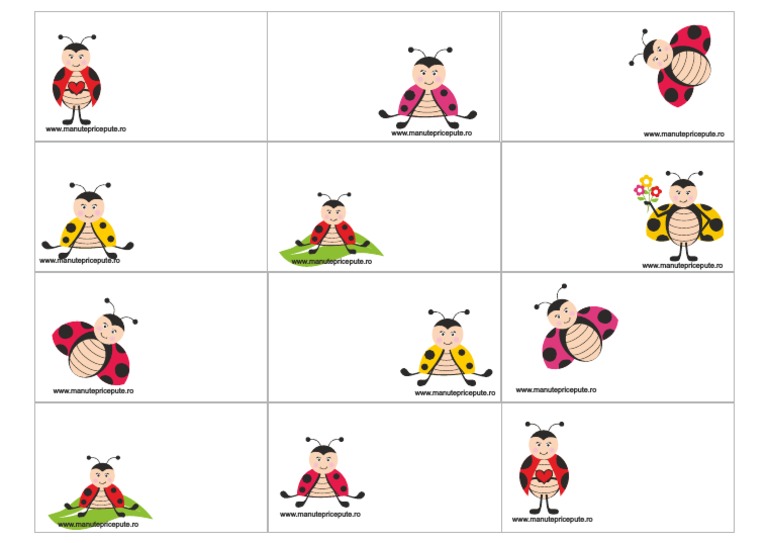 Ecusoane Clasa Buburuzelor 9 X 5 CM | PDF