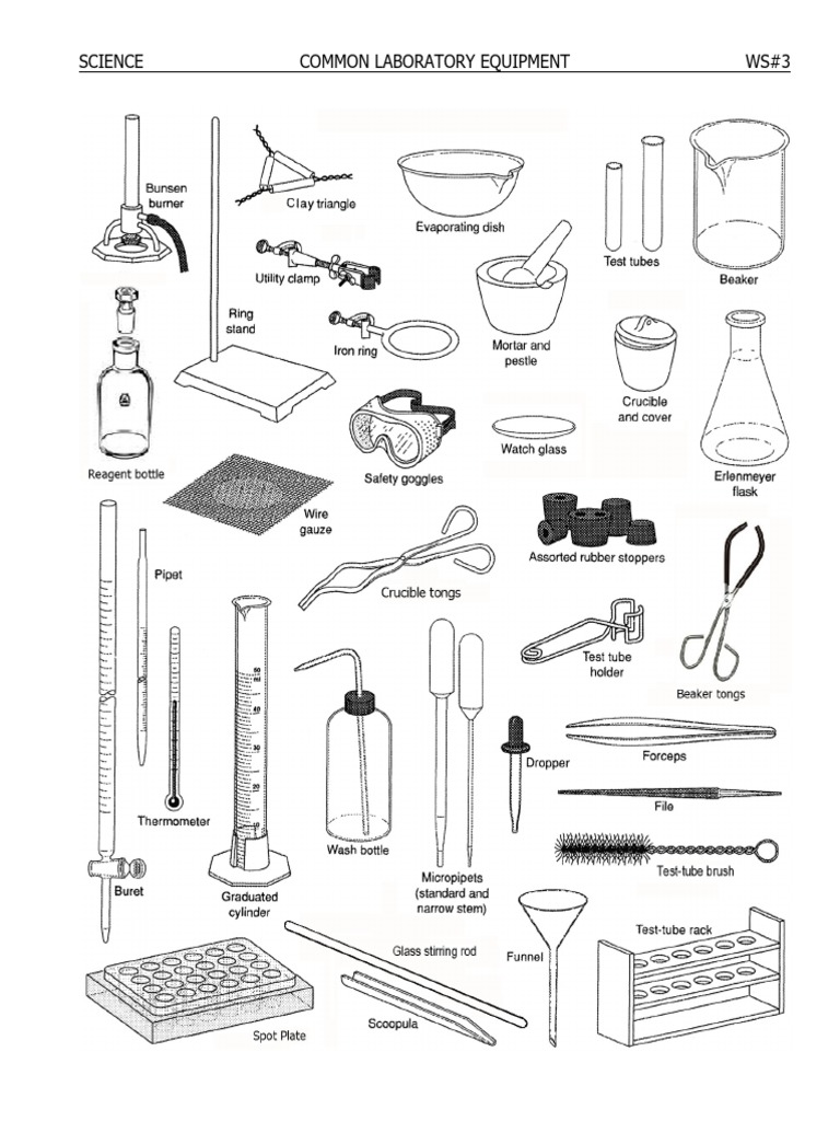 Lab Equipment Worksheet | PDF | Laboratory Equipment | Glasses