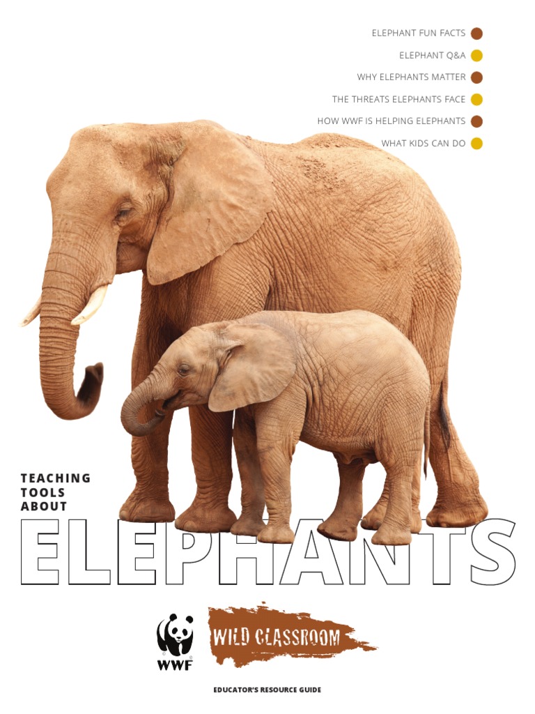 Educators ToolKit ELEPHANTS Revised | PDF | Elephant | Poaching