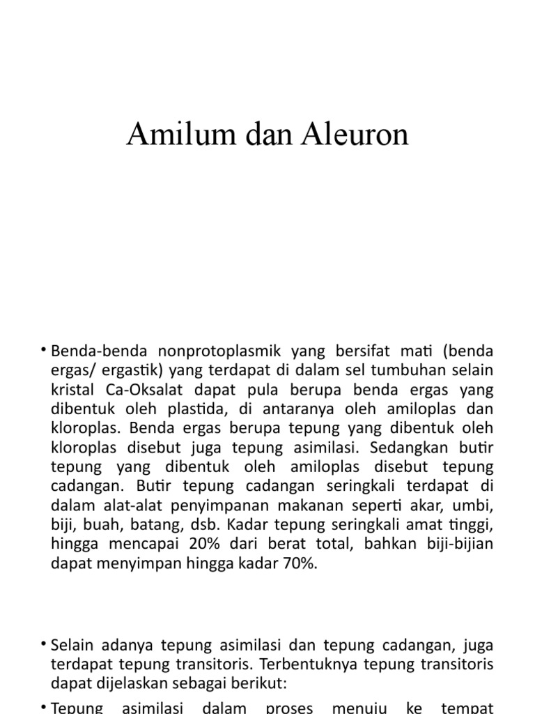 Amilum Dan Aleuron | PDF